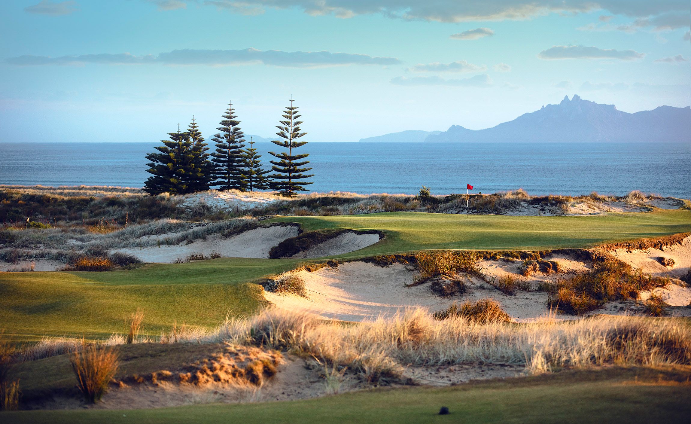 Welcome to Icon Golf | Icon Golf